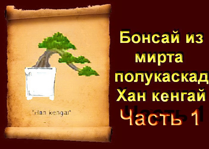 1.Бонсай из мирта стиль полукаскад формировка часть 1 Myrtle Bonsai Style Half Cascade Formation.mp4