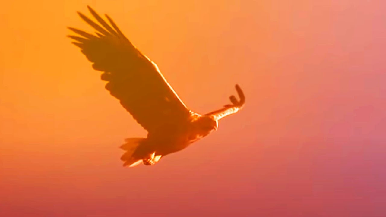 Юлия Руцкая - Аппак суйуу