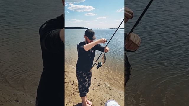 Черный окунь #fishingholidays#рыбалка