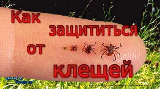 Укус клеща. Доктор по соседству.