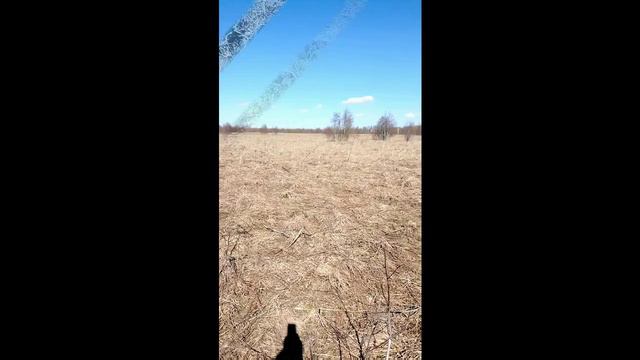 КопНаМоте-2