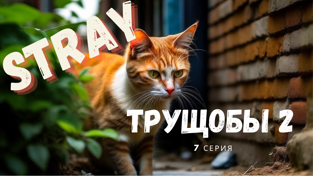 Stray 7 Возвращение в Трущобы -- Stray Return to the Slums