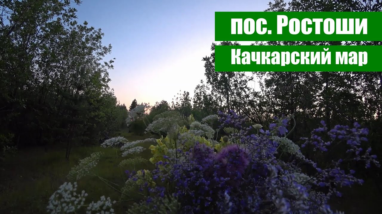 Урочище «Качкарский Мар» в Оренбурге / Natural boundary “Kachkarskij Mar” in Orenburg