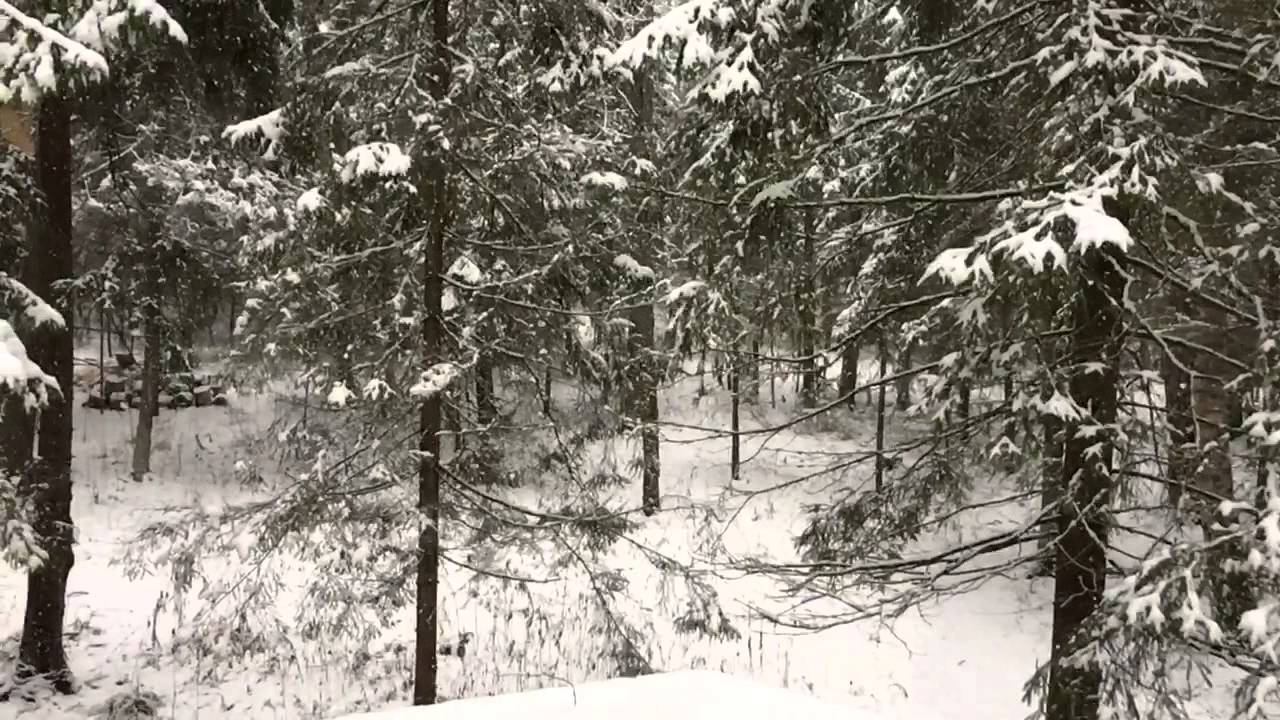 Снежок на даче 5.12.15