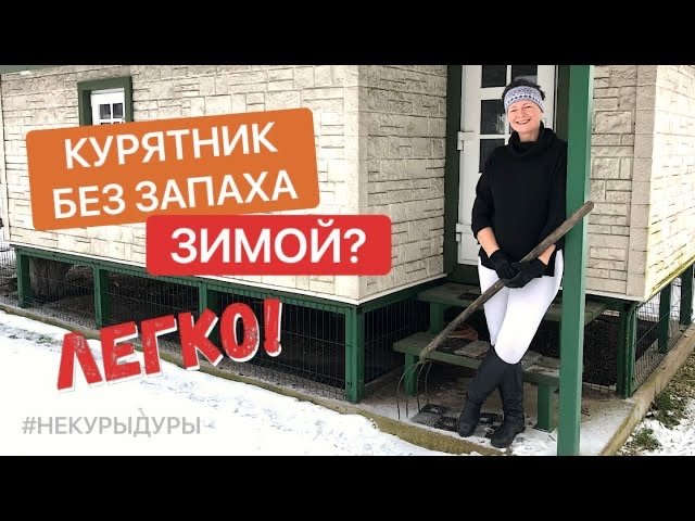 Курятник без запаха зимой. Зимняя уборка курятника.