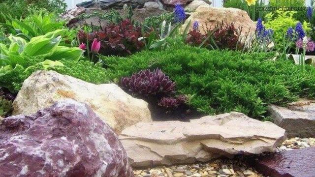 ландшафтный дизайн #13