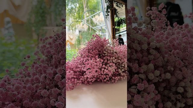 ReelsBanda: рилс с дня рождения в ресторане "Батлер", рилсмейкер Москва