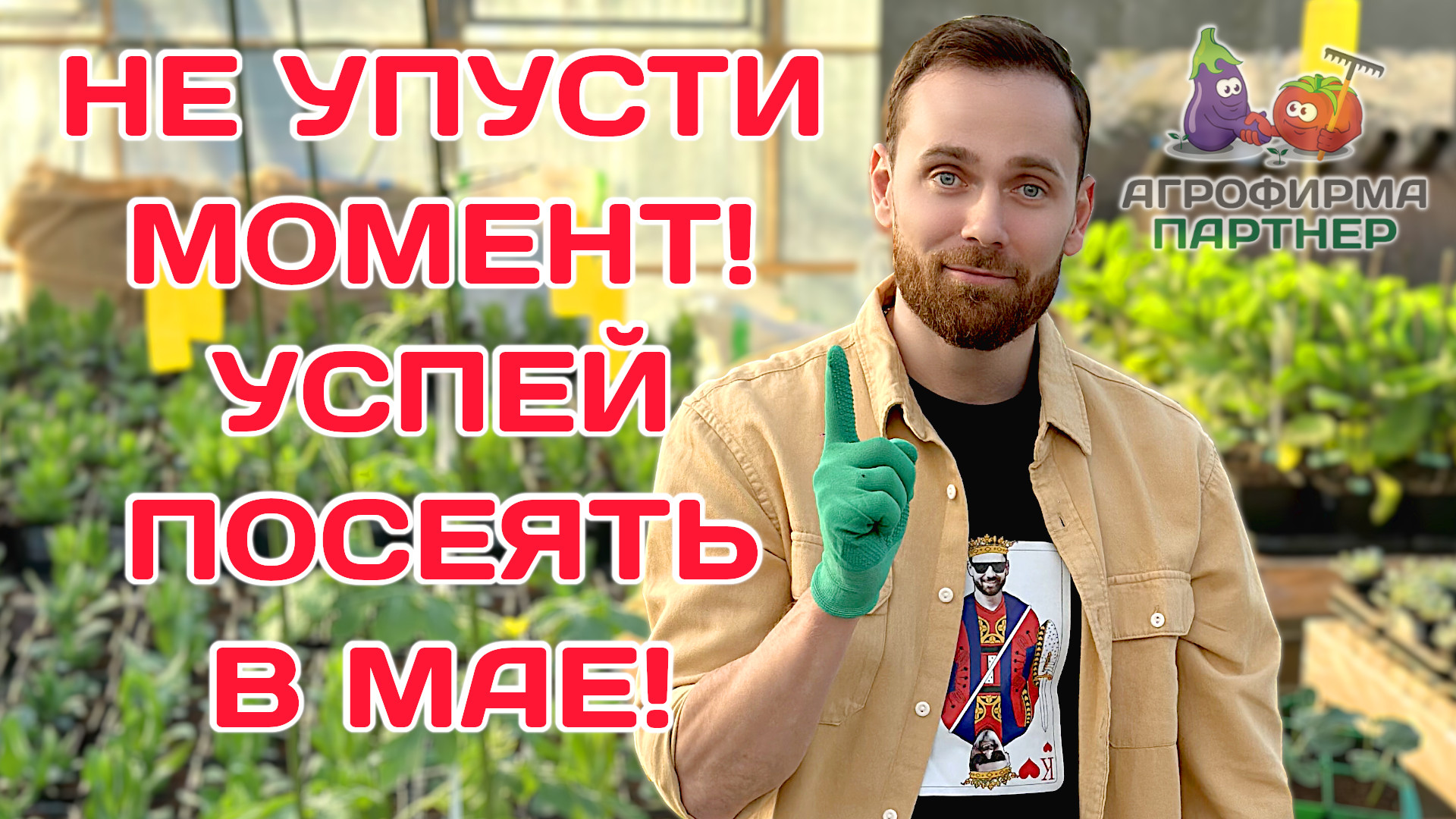 Что посеять  на рассаду в мае?