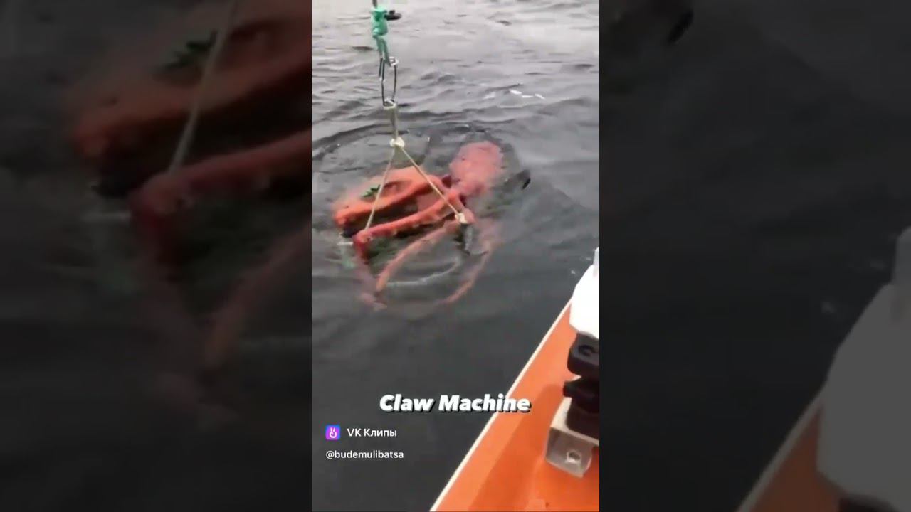 14 февраля 2023 г.