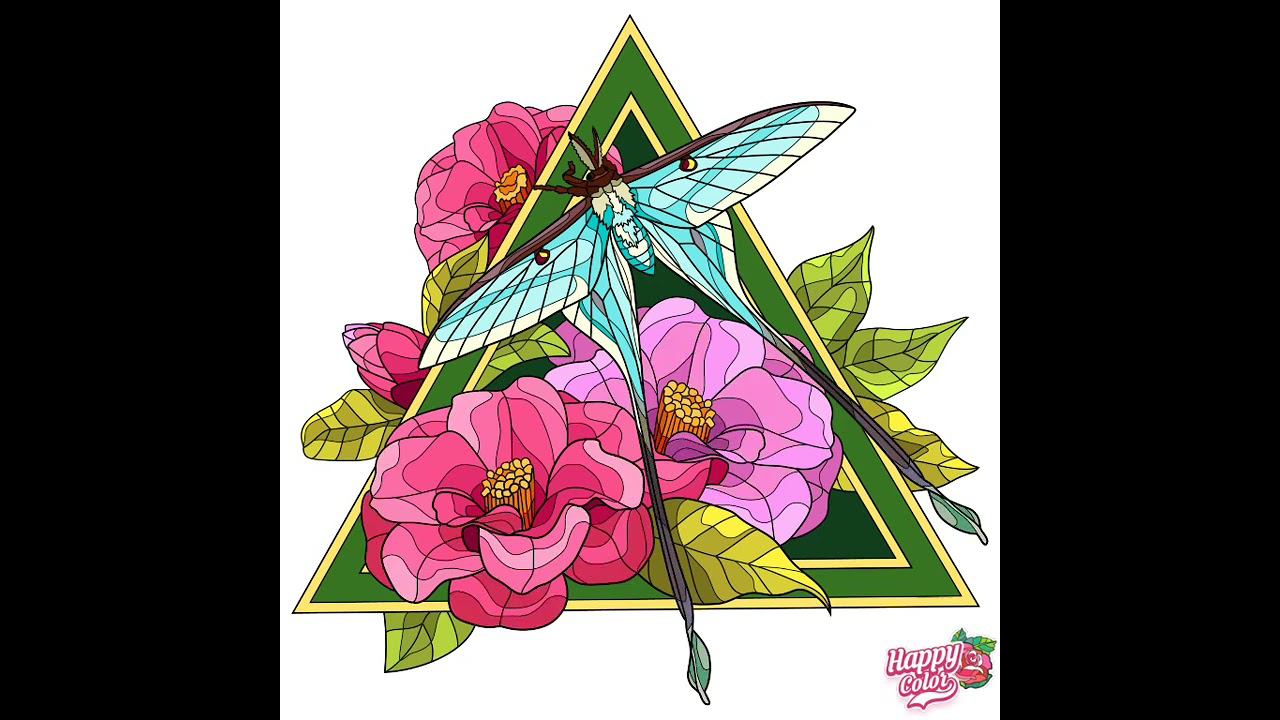 Бабочки 351-360