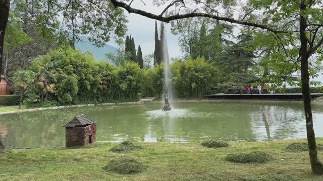 Приморский парк. Абхазия Гагра #abkhazia #trevel