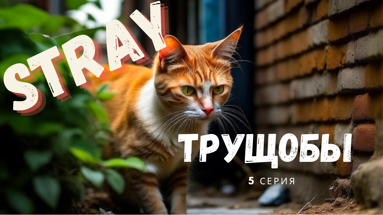 Stray 5 Трущобы - Продолжение поисков в мрачных уголках