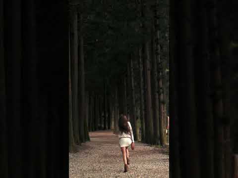 Путешествия по лесу #Shorts