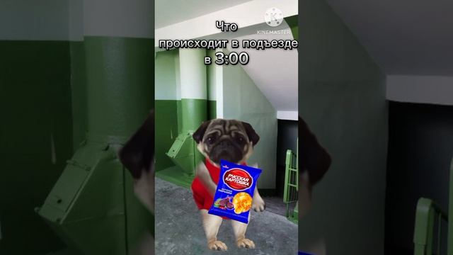 Что происходит в подъезде в 3:00 #shorts