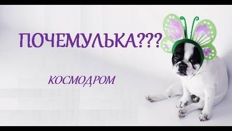 ПОЧЕМУЛЬКА? КОСМОС. КОСМОДРОМ.