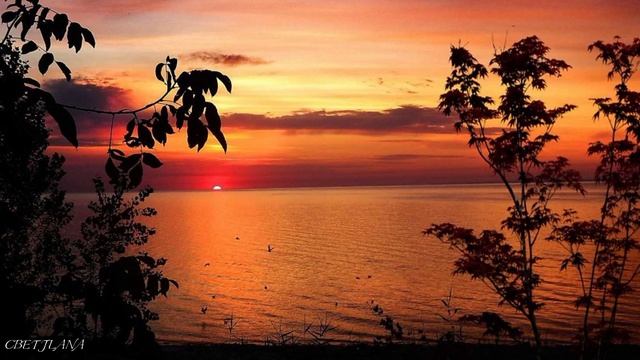 ?.. настроение..??️??️?..?????