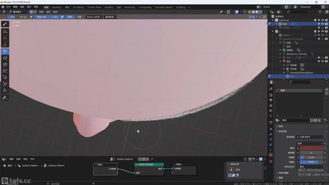 课时13：眉毛毛发
