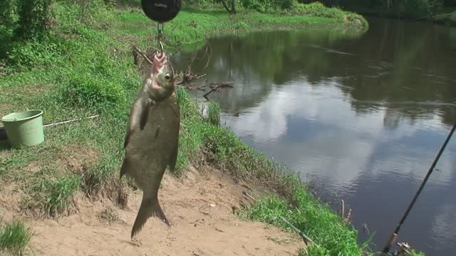 2013 05 20 рыбалка 2кг Адраджэнне.mp4