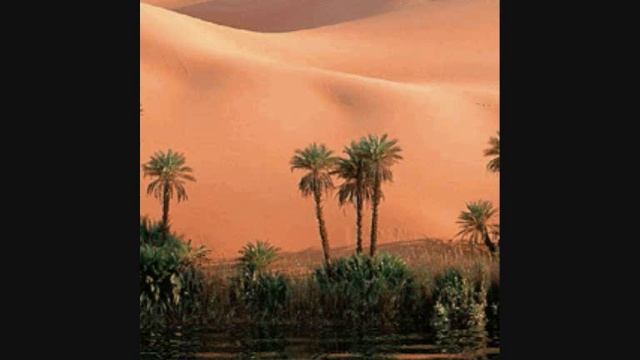 Псалом 6 - Современный перевод