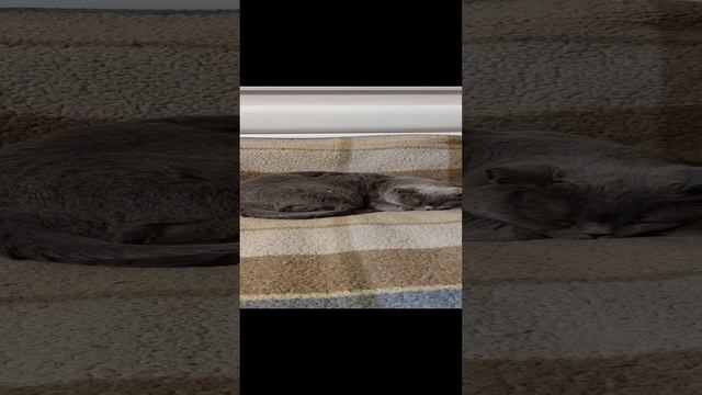 Ctrl+C и Ctrl+V (почти) ?