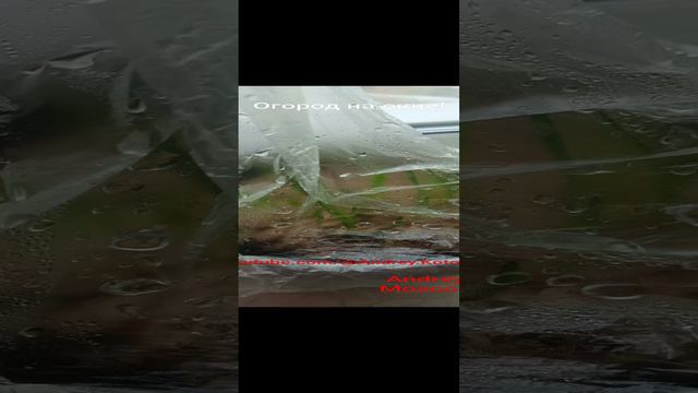 Сделай сам Огород на окне!