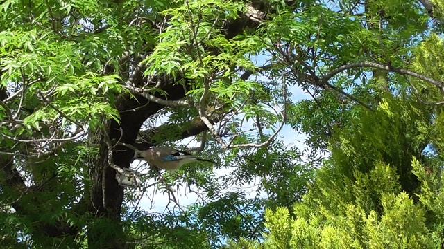 Геленджик 2021 02 серия