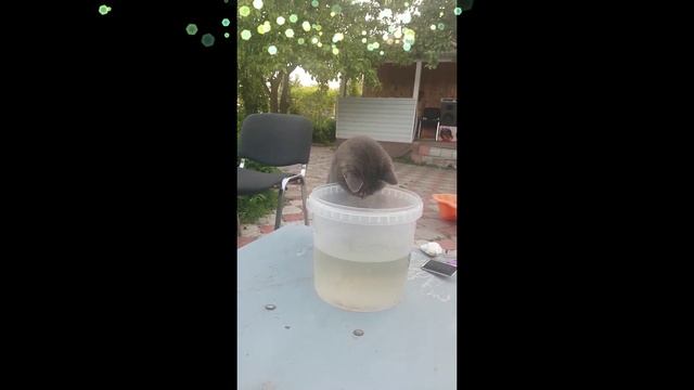 Платная рыбалка.