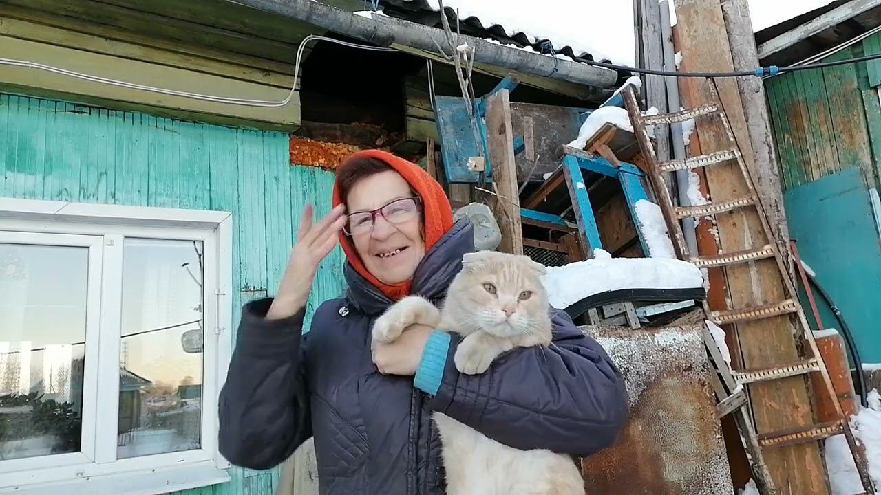 14.11.2023 Будни на пенсии/обновляю тюль