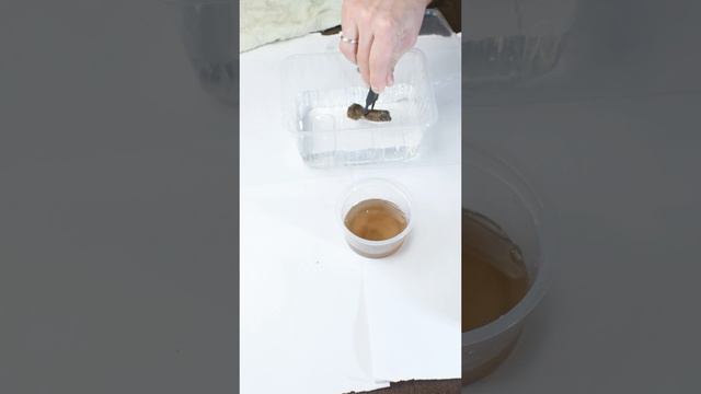 Эксперимент с преобразователем ржавчины