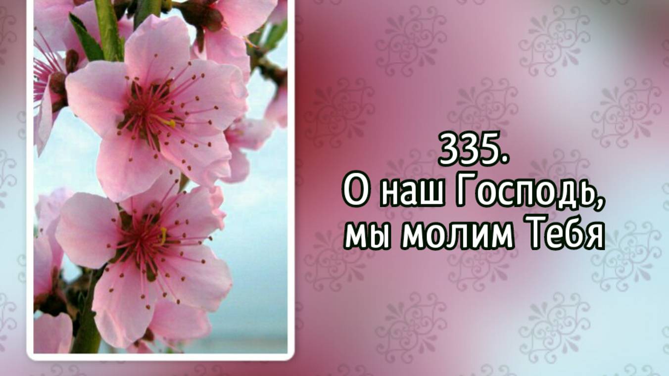 Гимны надежды 335 О наш Господь, мы молим Тебя (-)