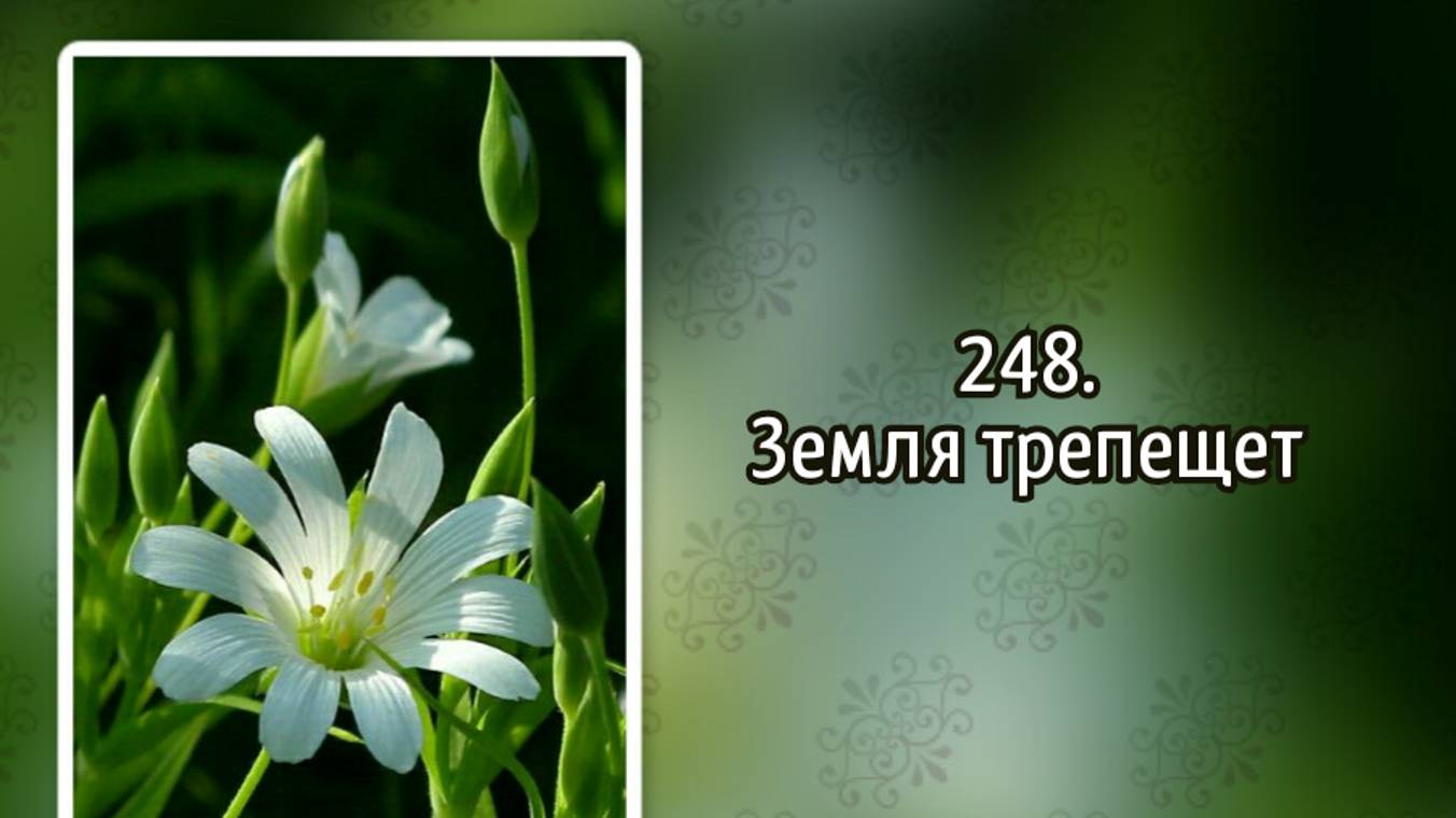 Гимны надежды 248 Земля трепещет (-)