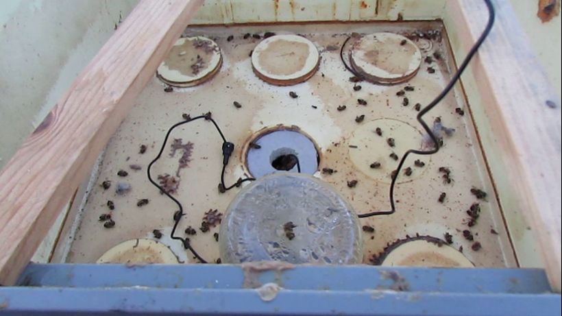 холстик и пленка ушли в прошлое, полностью перевел все ульи на потолочины - 23 января 2023 года