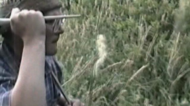 МЕСТЬ ХУДОЖНИКА / Revenge of Artist (2008)