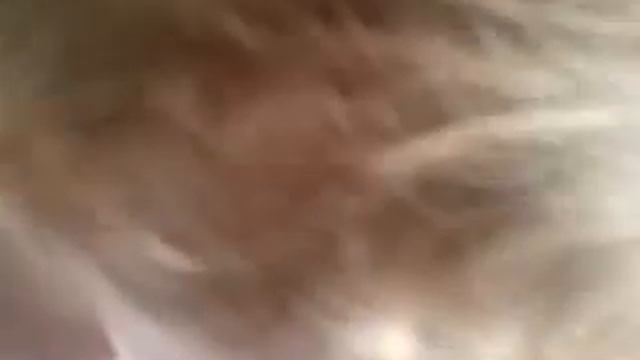 Папа с дочкой одни дома, полная версия