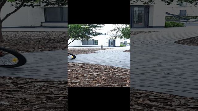 Мальчики на великах ездят через препятствие