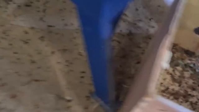 Дробилка ПЭТ кег, бутылок измельчитель МИ-700 сетка 12 мм.mp4