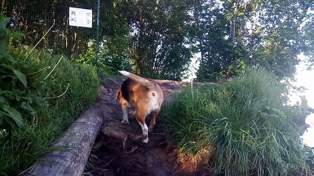 Прогулки по воде 22.06.2022 год.