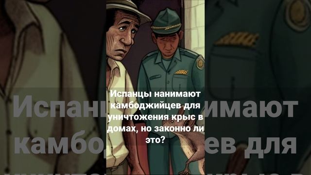 Испанцы нанимают камбоджийцев для уничтожения крыс в домах, но законно ли это?