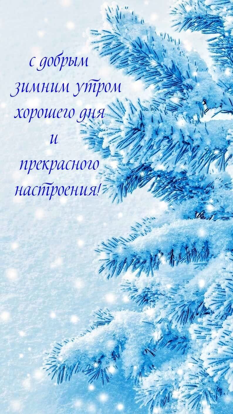 ❄️ С зимним утром, днём!