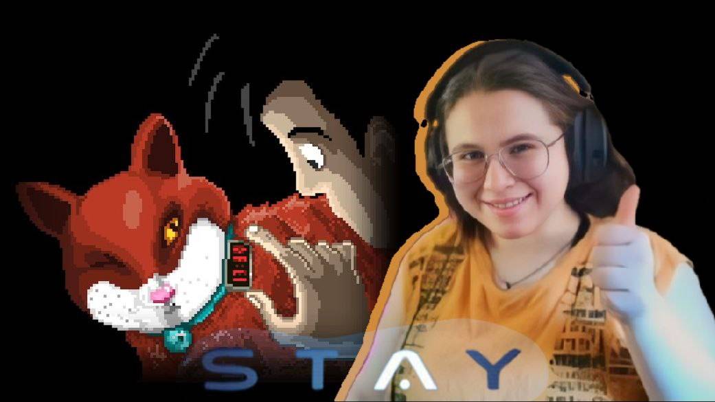 У нас появился пушистый друг😺 ▶ Stay #3