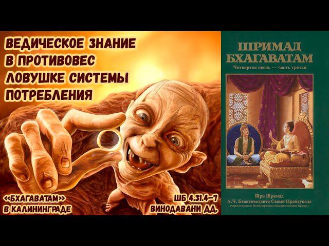 Ведическое знание в противовес ловушке системы потребления. Винодавани дд. ШБ.4.31.4–7