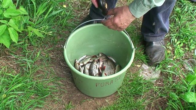 2013 05 28 рыбалка 1,5 кг итоги Адраджэнне.mp4