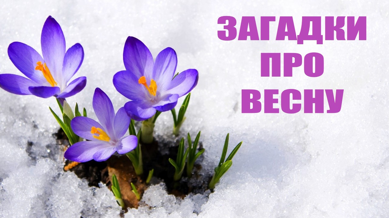 ЗАГАДКИ про ВЕСНУ