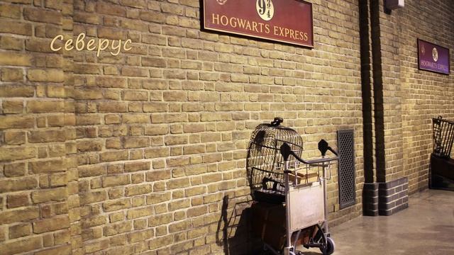 [АУДИОКНИГА | ФАНФИК ПО СЕРИИ КНИГ О ГАРРИ ПОТТЕРЕ] Shellina - Игрок | Книга 4. Северус. Часть 1/4