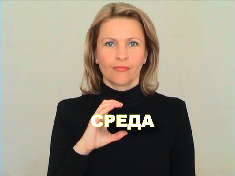 ЖЕСТОВЫЙ ЯЗЫК. СЛОВАРЬ. Среда