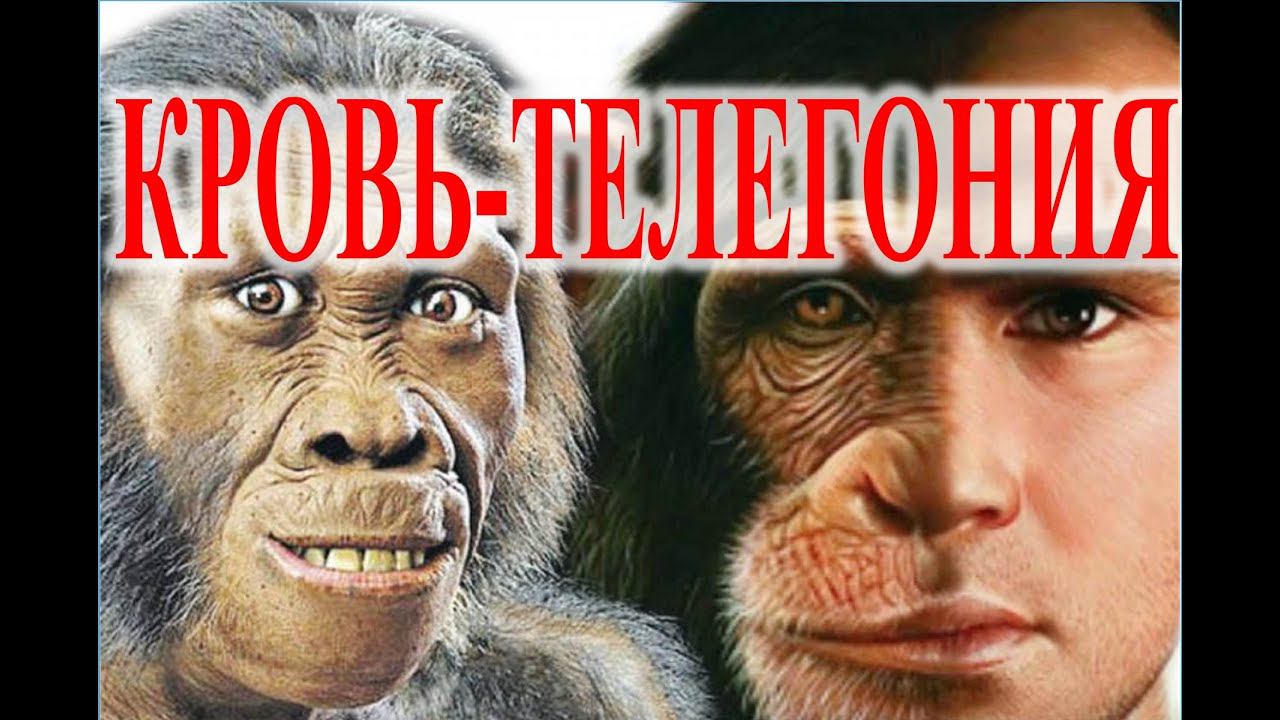 Тайны крови: Телегония (эффект первого самца).| Виктор Максименков