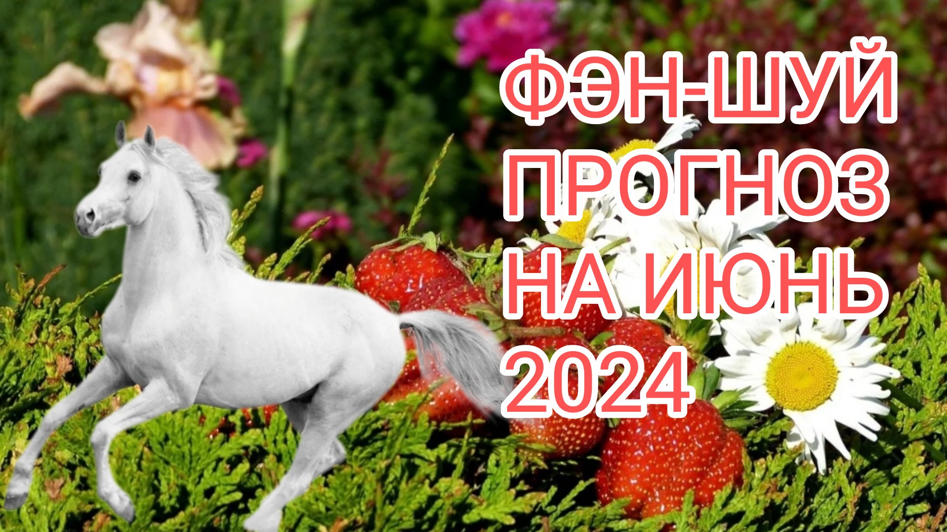ФЭН-ШУЙ ПРОГНОЗ НА ИЮНЬ🐎МЕСЯЦ БЕЛОЙ МЕТАЛЛИЧЕСКОЙ ЛОШАДИ