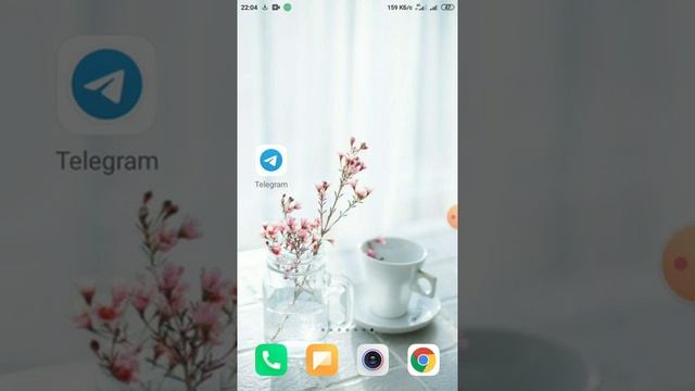 10. Как отправить фото, видео, файл в Телеграм