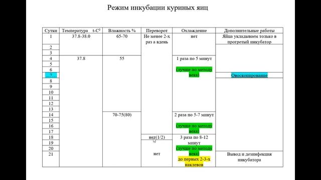Мой лучший режим инкубации куриных яиц