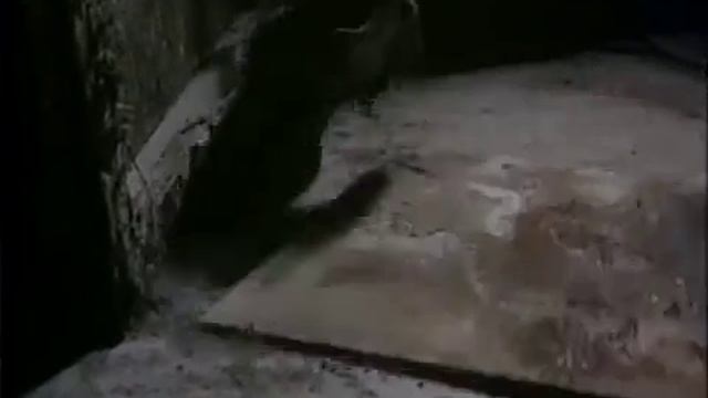 Nurse With Wound - The Bottom Feeder